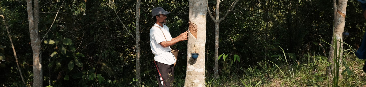 Gas Detection Sensor for Forest Fire Monitoring | Solutions Catalog ...